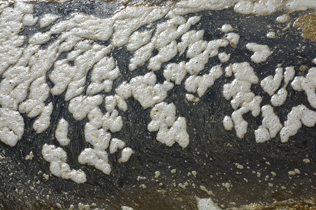 Grease Trap: Best Practices and Benefits | Degler Waste Services